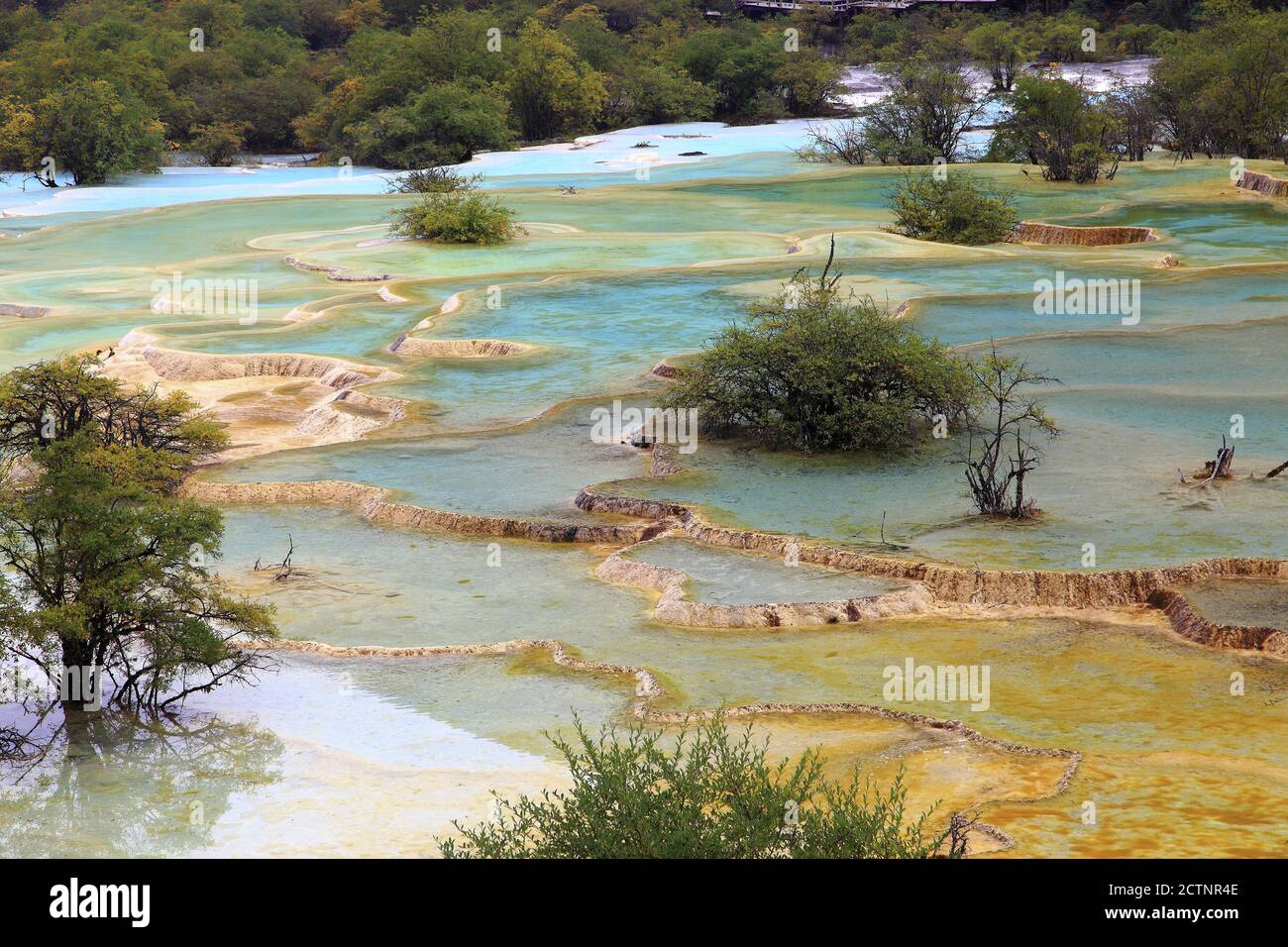 Wucai hi-res stock photography and images - Alamy