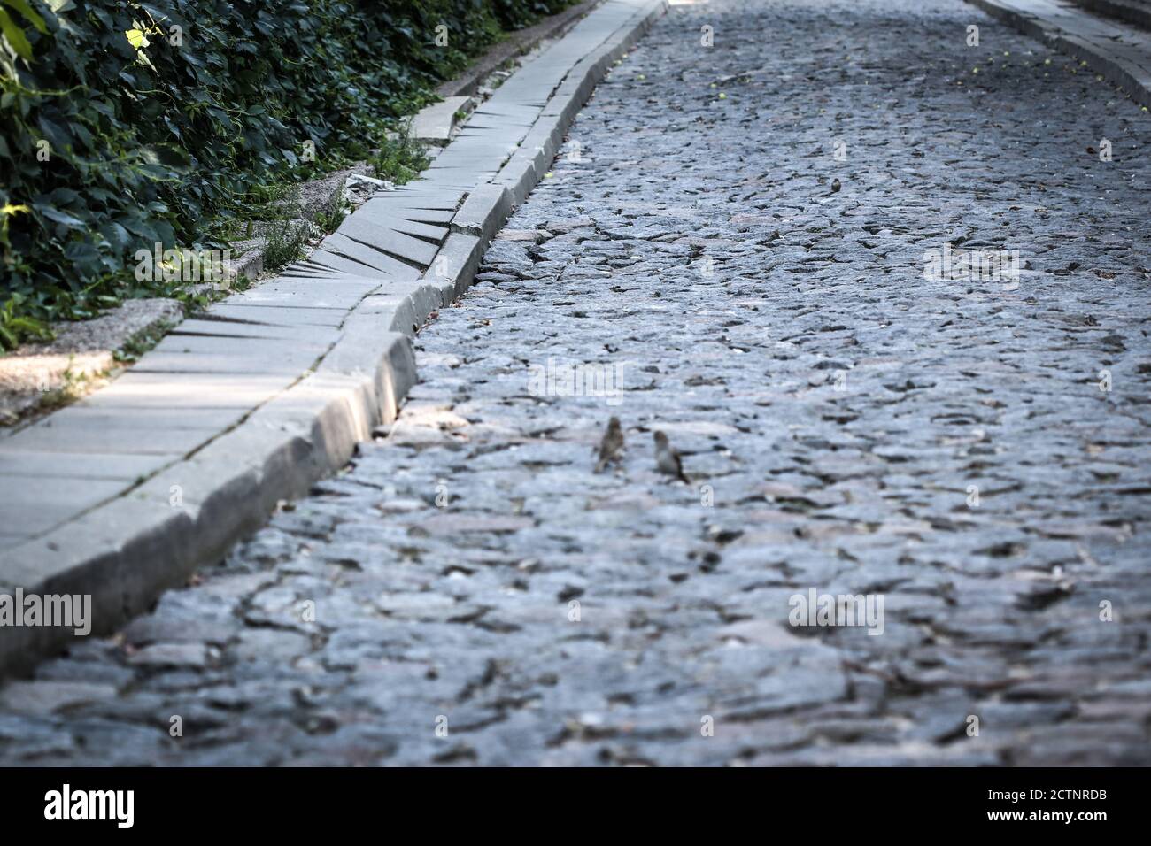 Old cobblestone street with collapsed road kerbs prompt by rainwater ...
