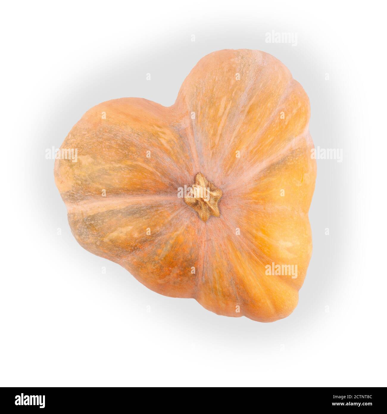 Heart shaped pumpkin isolated on white background. For holiday design ...