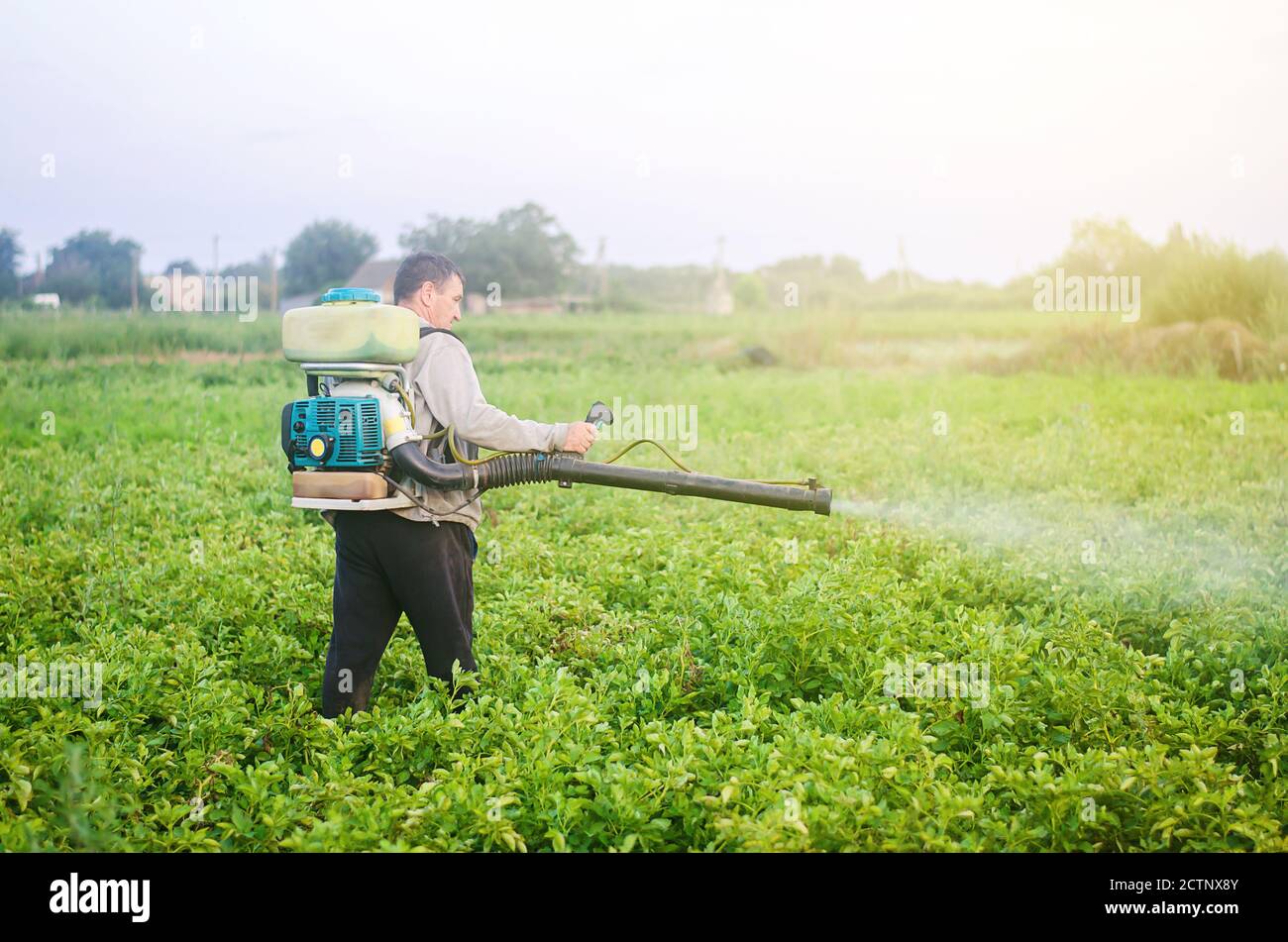 A farmer with a mist sprayer blower processes the potato plantation ...