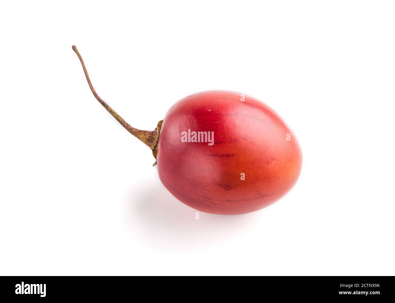 Red tamarillo isolated on white background. side view, close up, macro ...