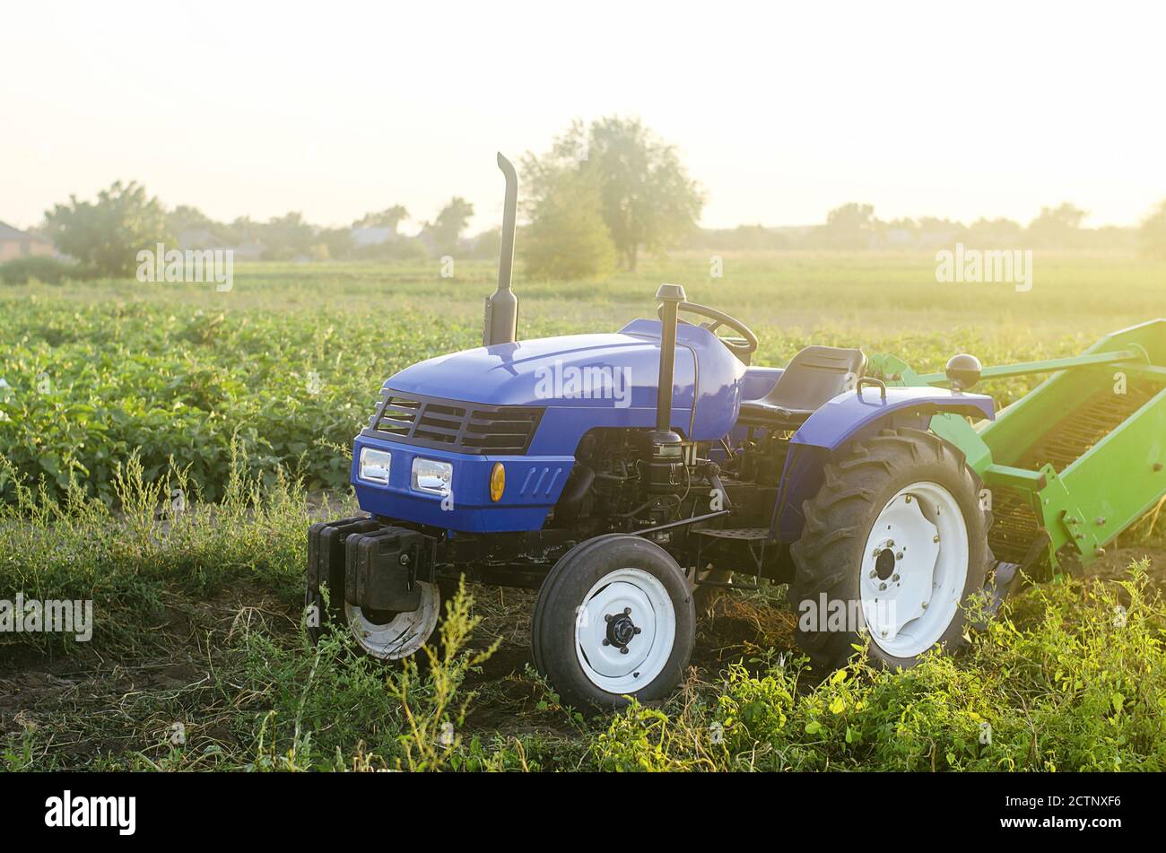 A farm blue tractor stands on the field. The use of machines in ...