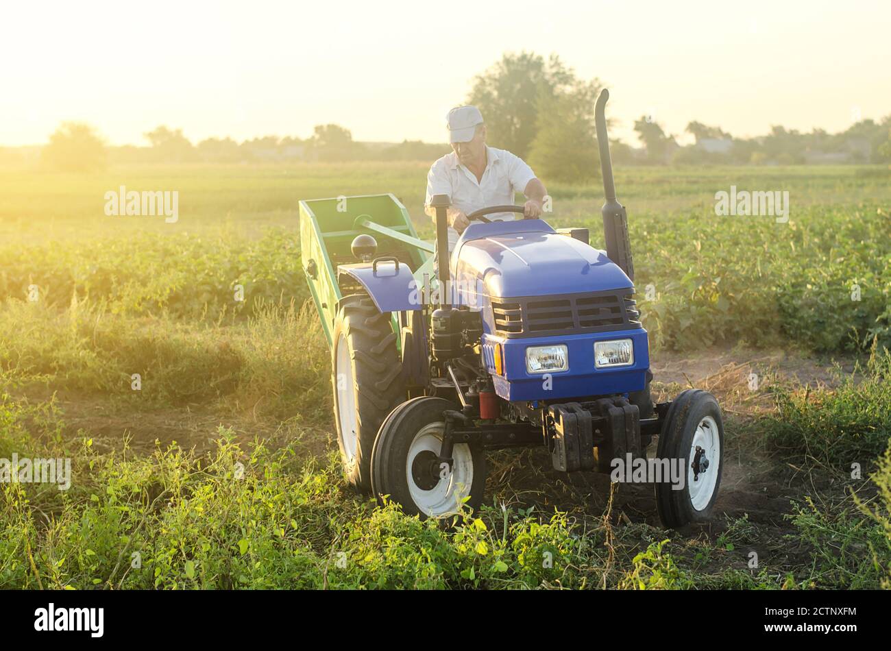 Driving tractor on potato farm hi-res stock photography and images - Alamy