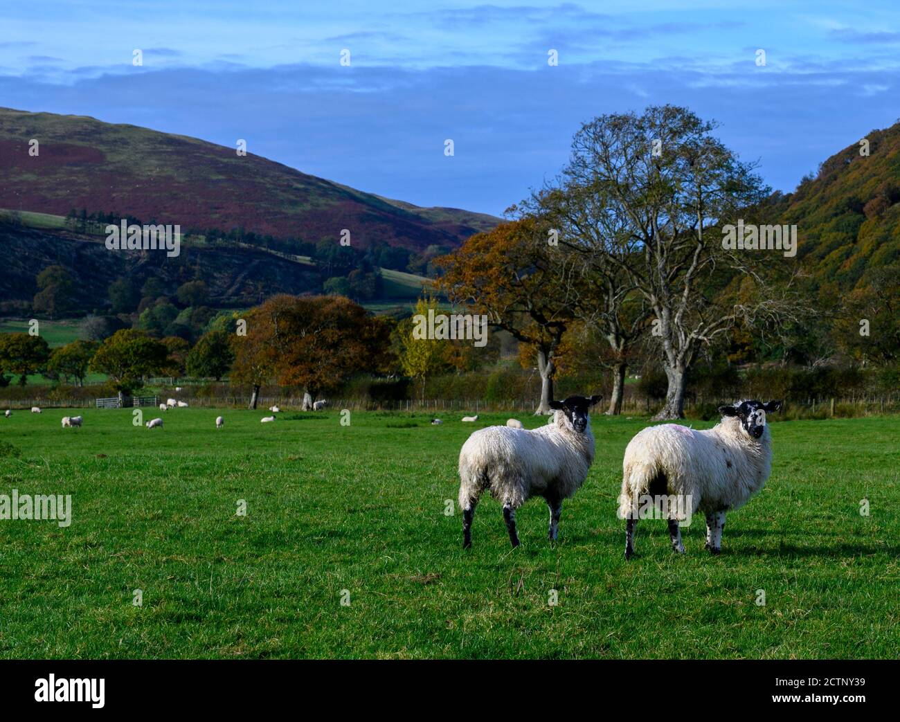 Sale Fell, Lake District, Cumbria, England Stock Photo - Alamy
