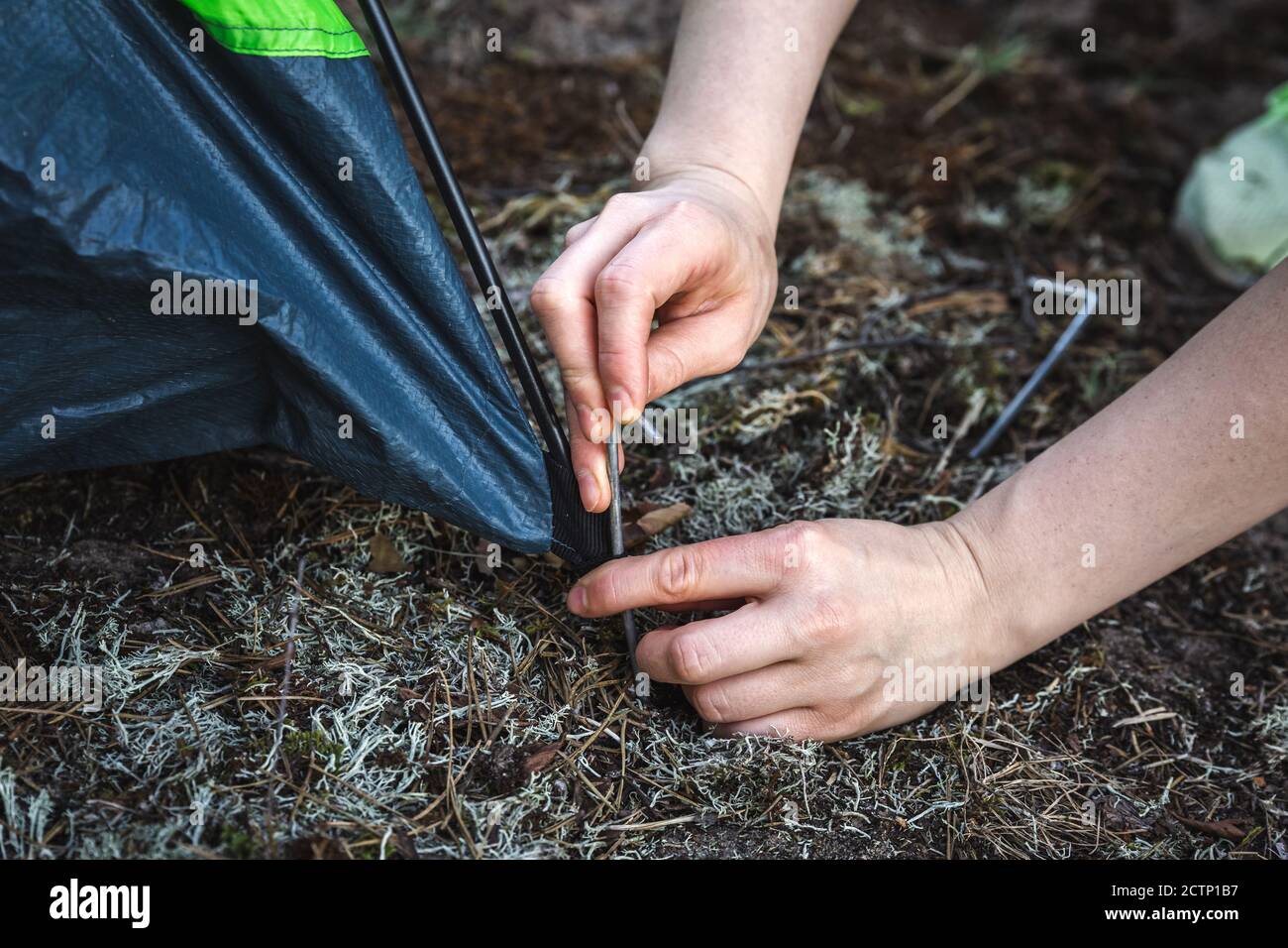 Pitching tent. Uses metal rods to pin tent to the ground. Camping and ...