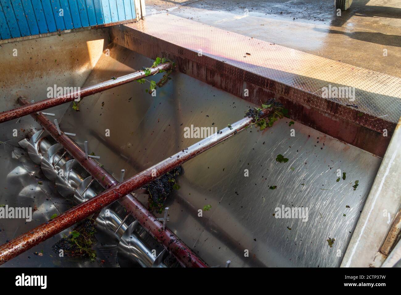 Grape Hopper High Resolution Stock Photography and Images - Alamy