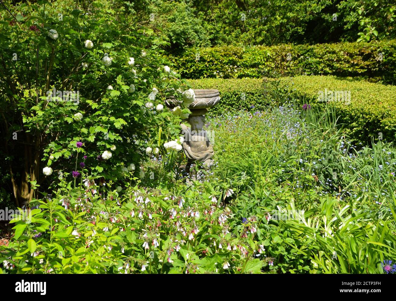 Back of cherub statue hi-res stock photography and images - Alamy