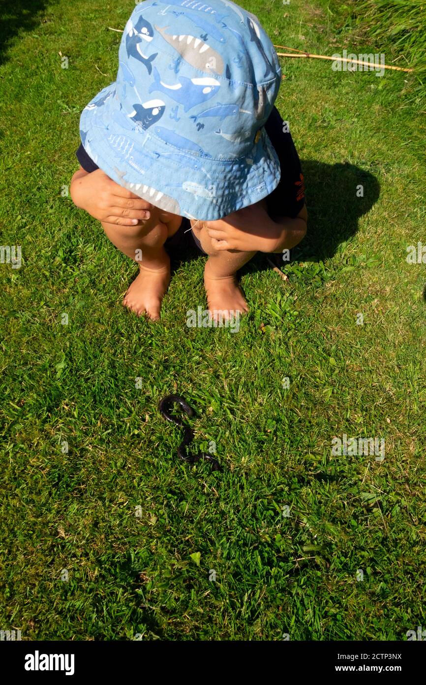 Boy looking at worm hi-res stock photography and images - Alamy