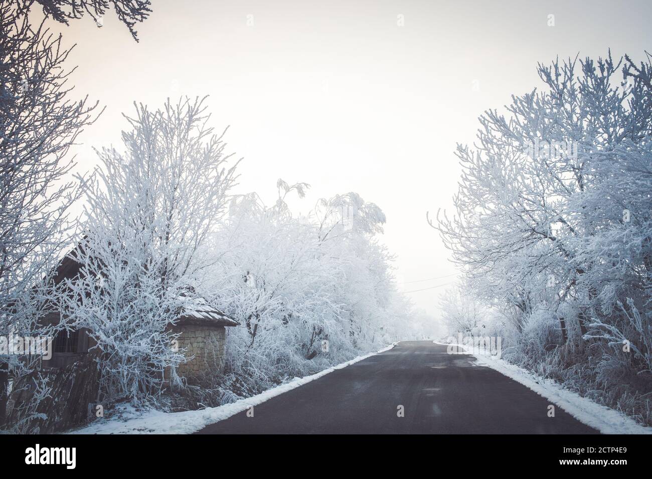 beautiful frozen winter landscape with frosty trees Stock Photo - Alamy