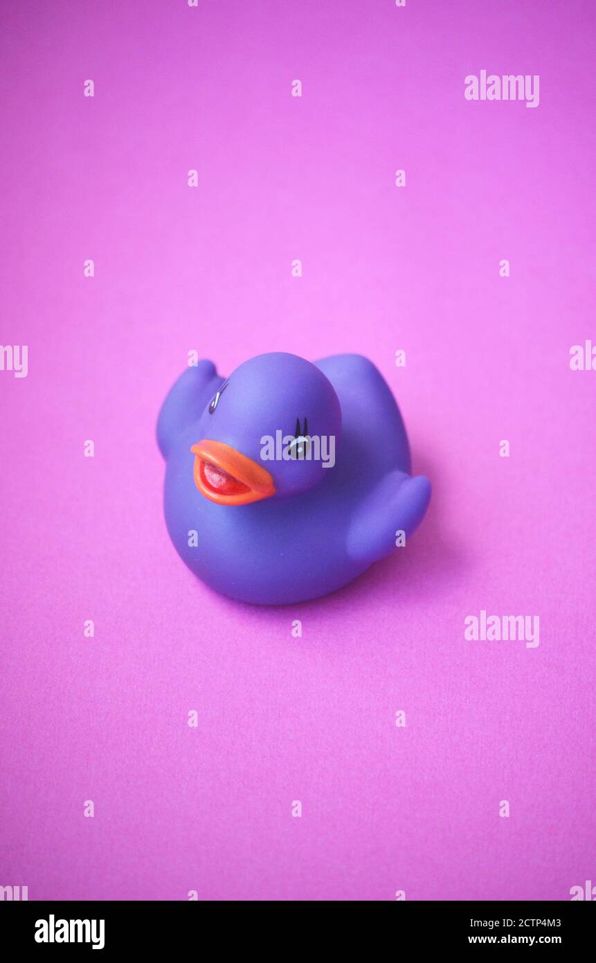 Purple rubber duck hi-res stock photography and images - Alamy