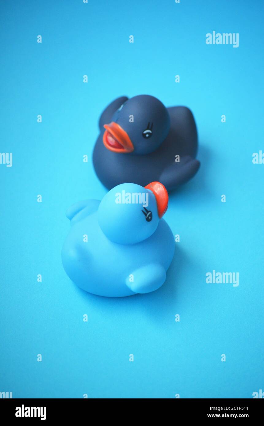 Two isolated toy rubber ducks in dark blue and light blue color on a ...