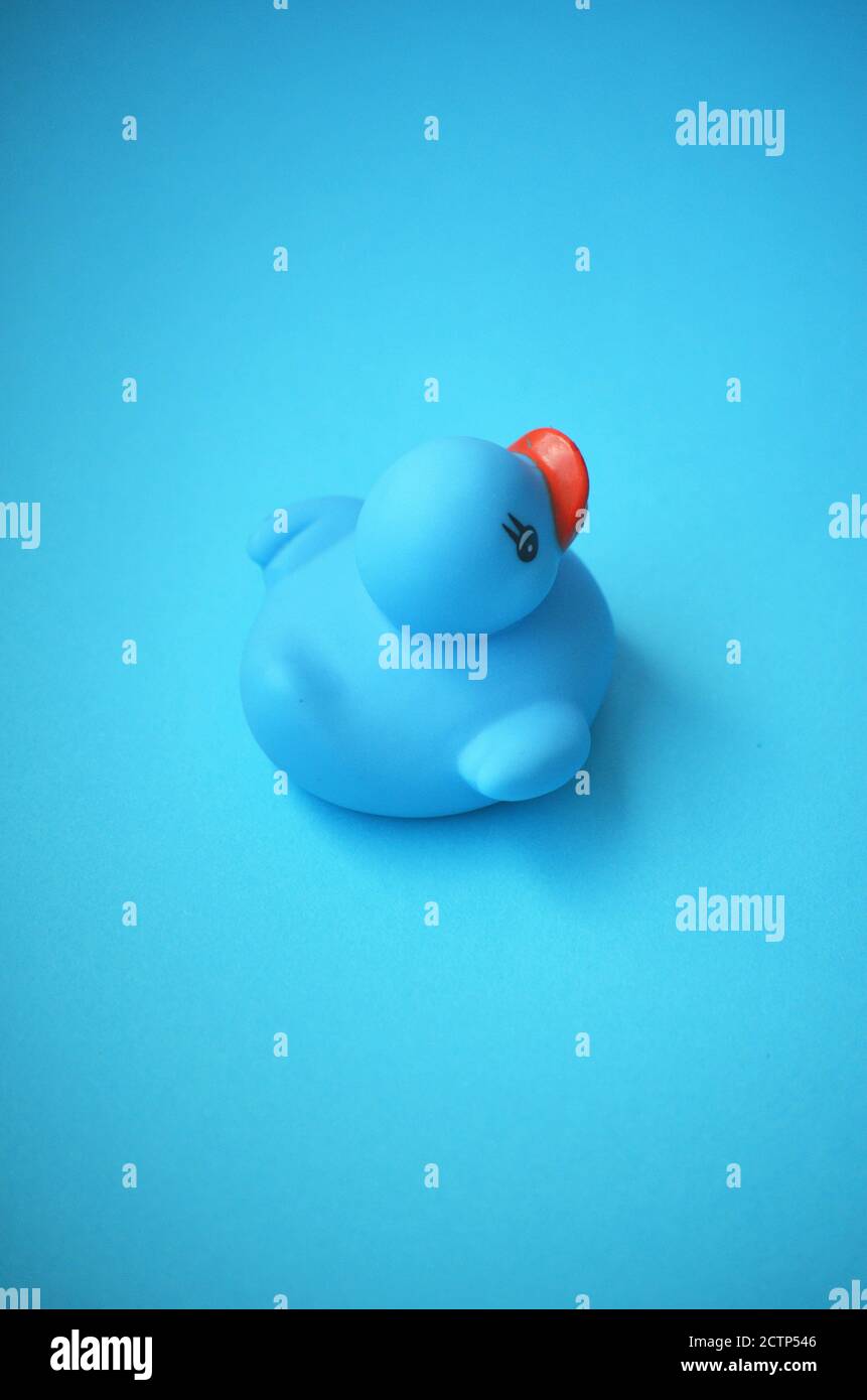 Isolated Light blue toy rubber duck on a same color background Stock ...