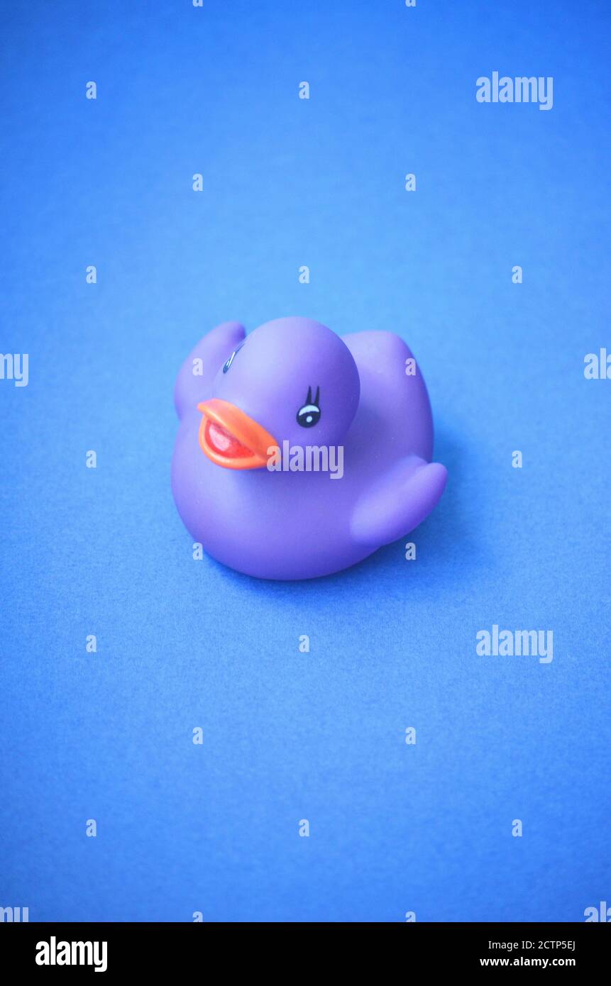 Purple rubber duck hi-res stock photography and images - Alamy