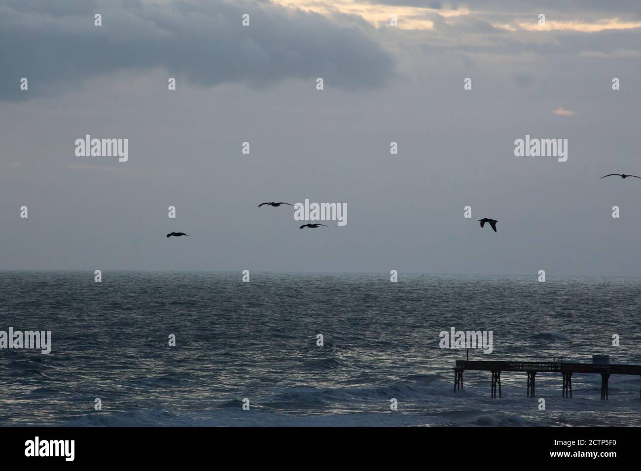Birds flying to the ocean hi-res stock photography and images - Alamy
