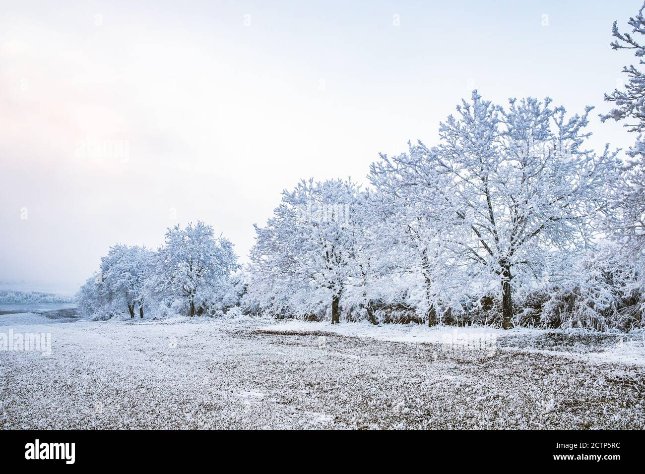 beautiful frozen winter landscape with frosty trees Stock Photo - Alamy