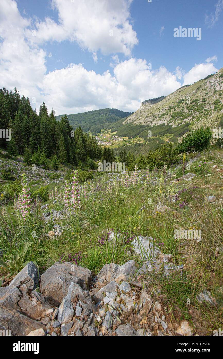 Rhodope Mountains In Spring Stock Photo - Alamy