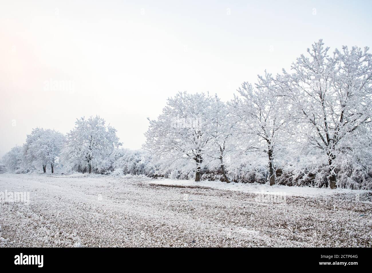 beautiful frozen winter landscape with frosty trees Stock Photo - Alamy