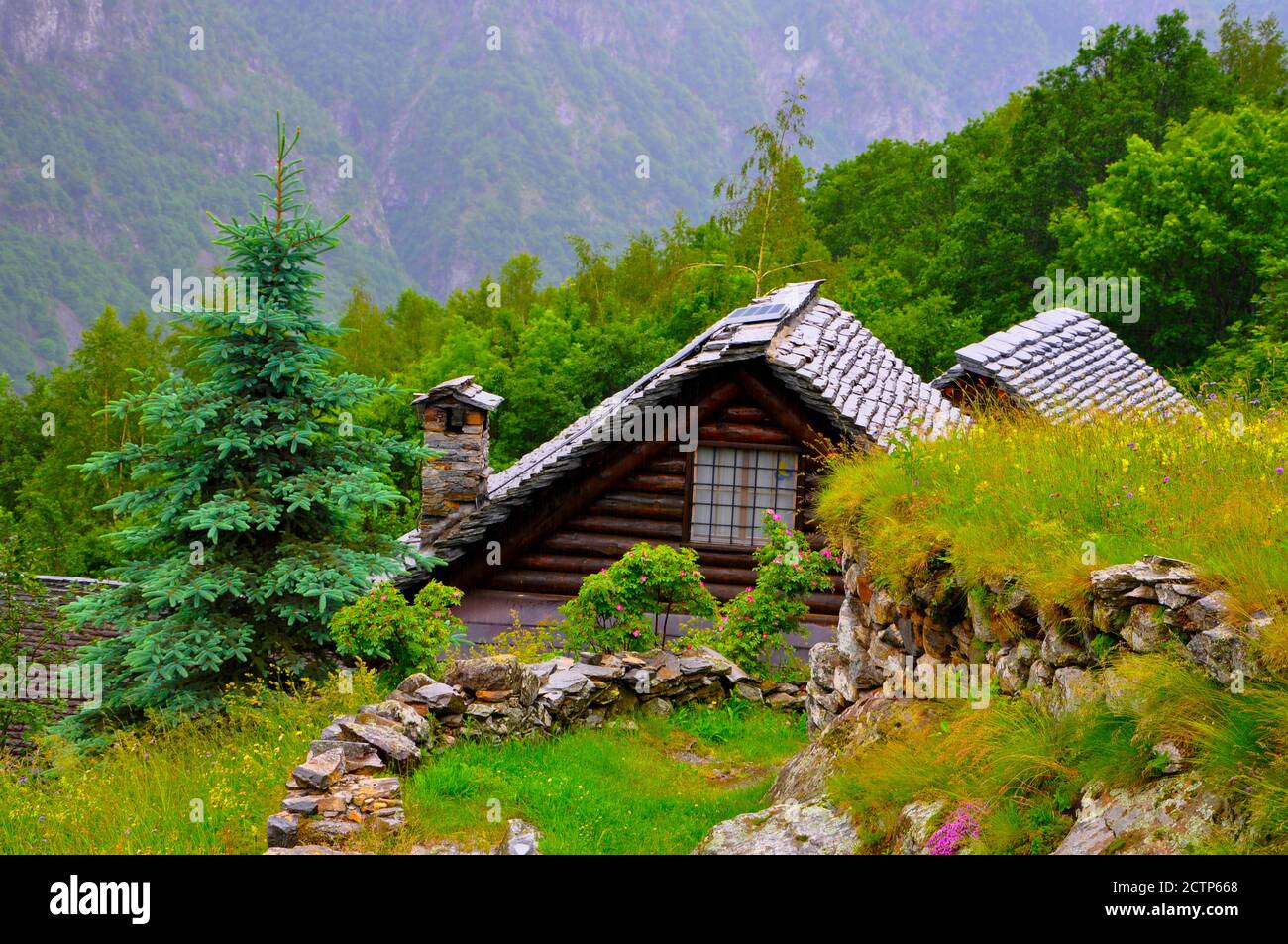 Rustic House on the Swiss Alps with Trees in Ticino, Switzerland Stock ...