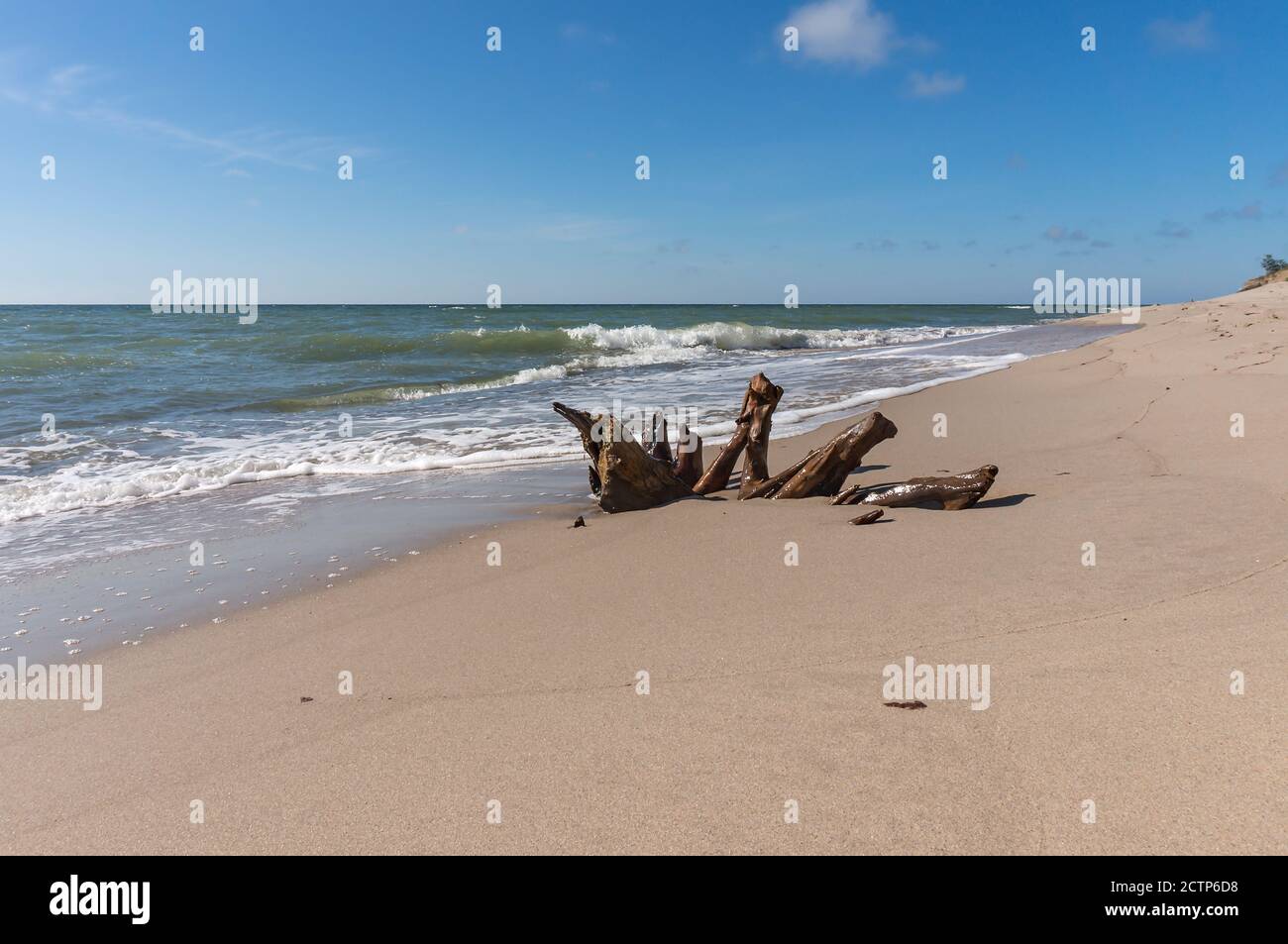 Snag Over Water High Resolution Stock Photography and Images - Alamy