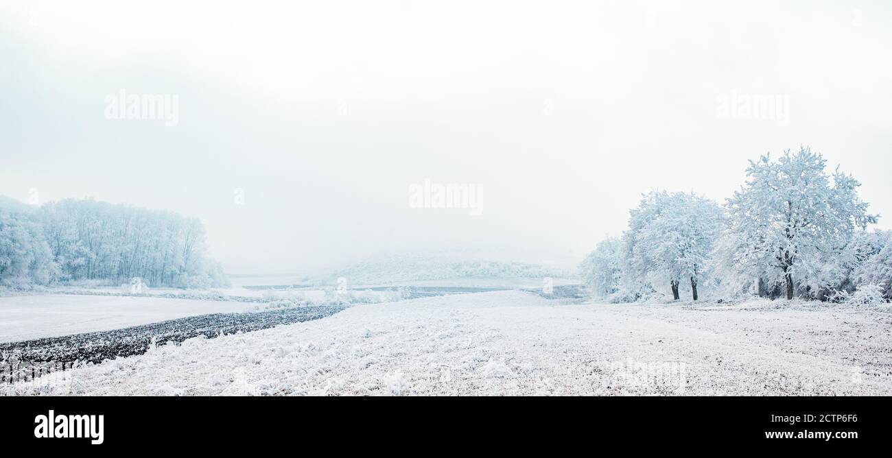 beautiful frozen winter landscape with frosty trees Stock Photo - Alamy