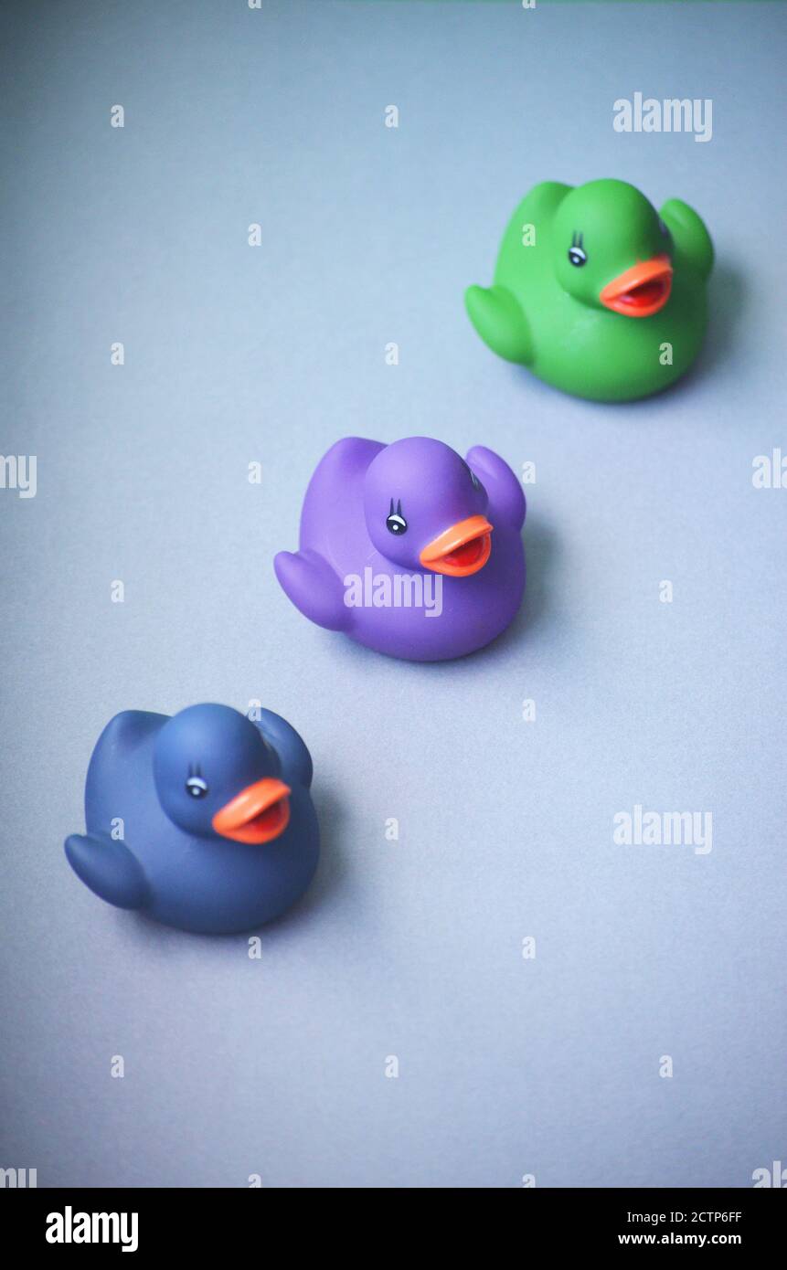 Three isolated toy rubber ducks in dark blue, green and violet color on ...