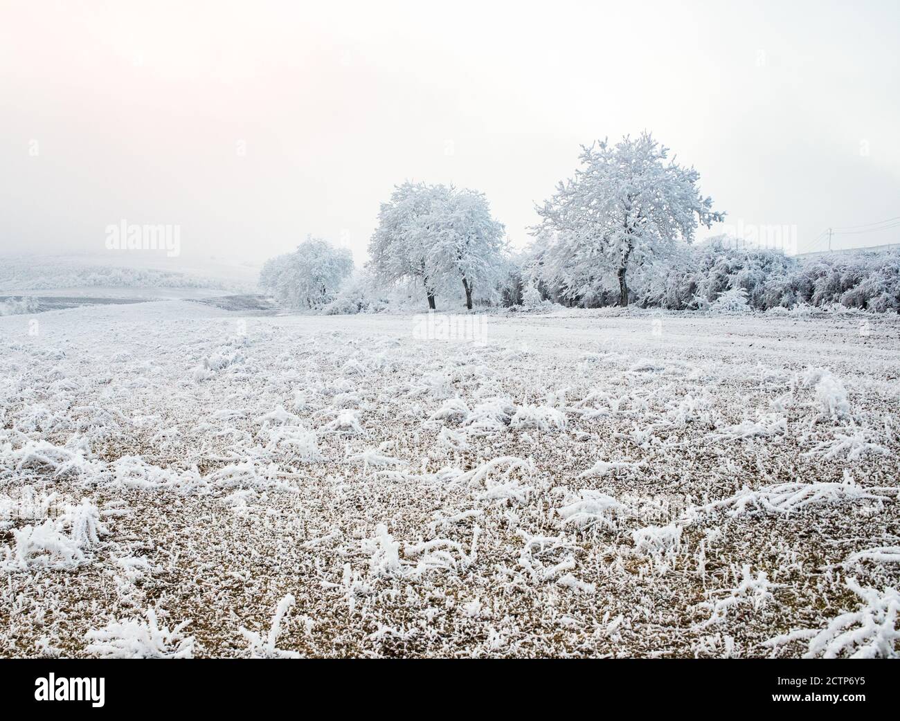 beautiful frozen winter landscape with frosty trees Stock Photo - Alamy