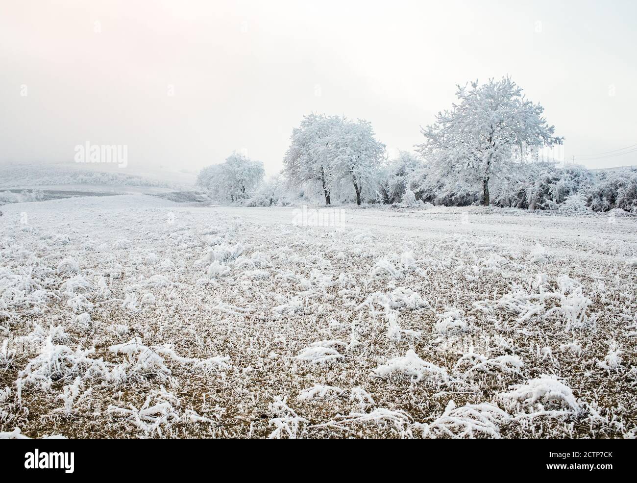 beautiful frozen winter landscape with frosty trees Stock Photo - Alamy
