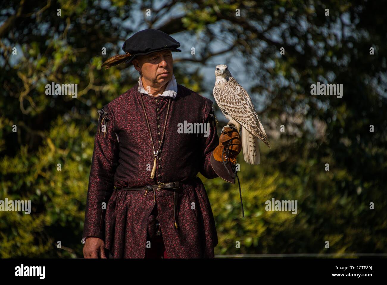 Falconer with a Gyr Falcon Stock Photo - Alamy