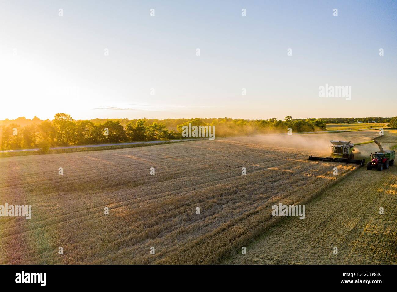 Vejen, Denmark. 01st, September 2020. A farmer is harvesting a barley ...