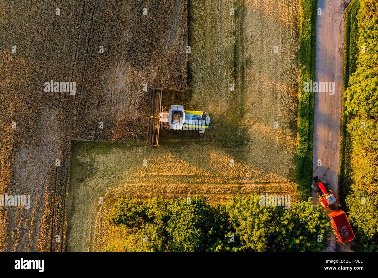 Vejen, Denmark. 01st, September 2020. A farmer is harvesting a barley ...