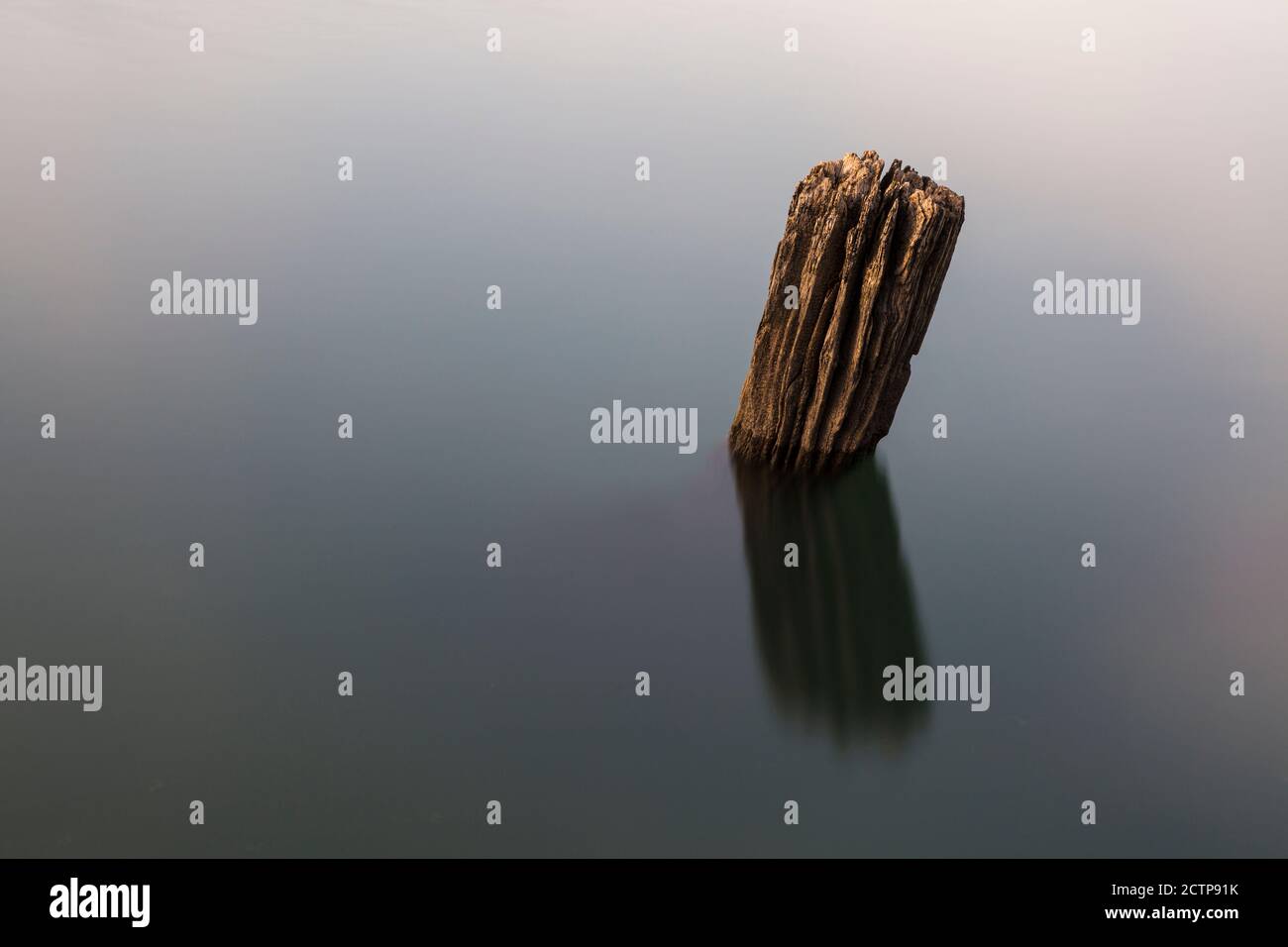Old wooden post in the water Stock Photo - Alamy