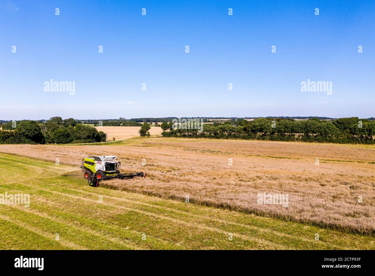Jordrup, Denmark. 07th, August 2020. A farmer is harvesting a rapeseed ...