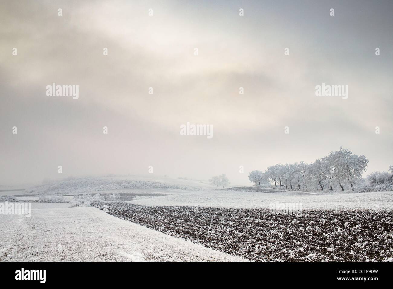 beautiful frozen winter landscape with frosty trees Stock Photo - Alamy