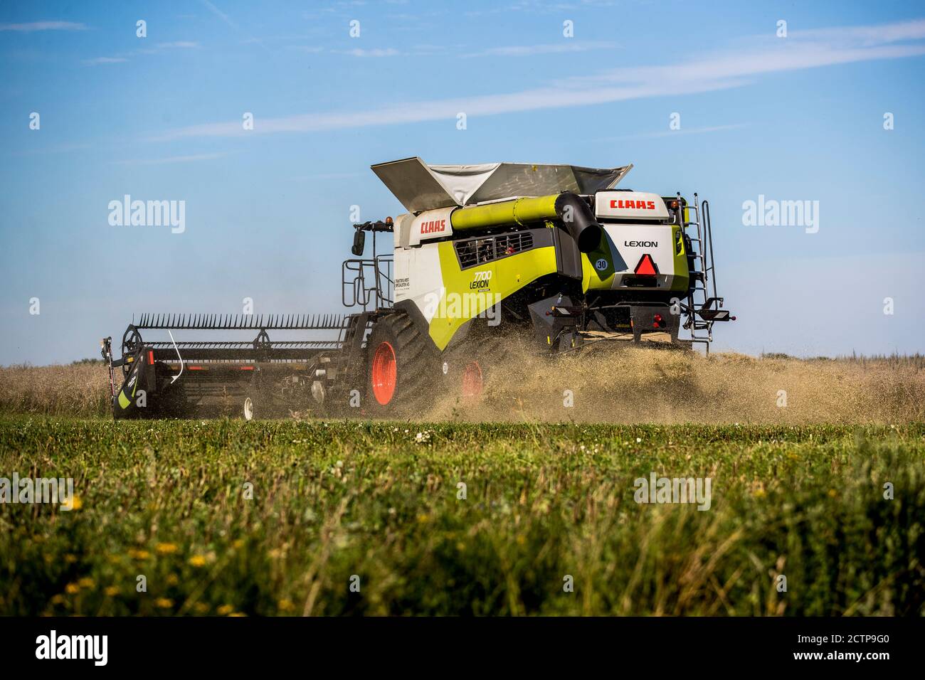 Jordrup, Denmark. 07th, August 2020. A farmer is harvesting a rapeseed ...
