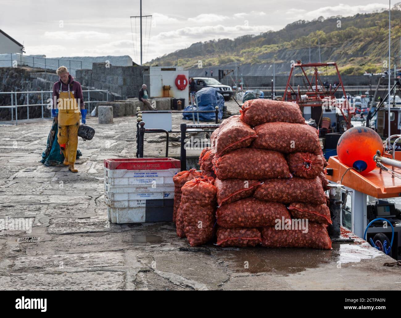 Fisherman and bags of shellfish at harbourside Stock Photo - Alamy