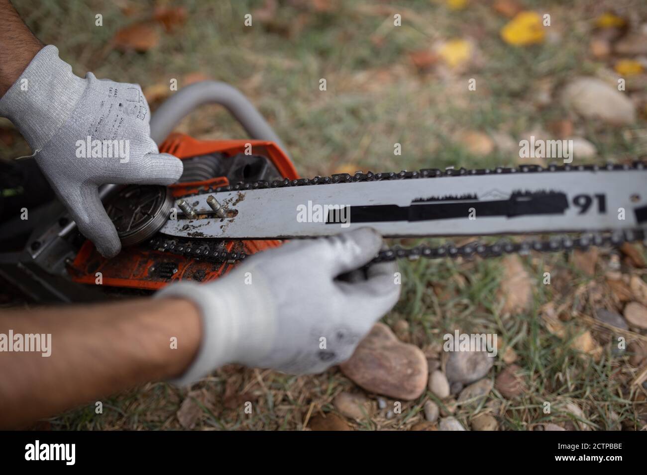 Closeup of a lumberjack with a chainsaw in a forest Stock Photo - Alamy