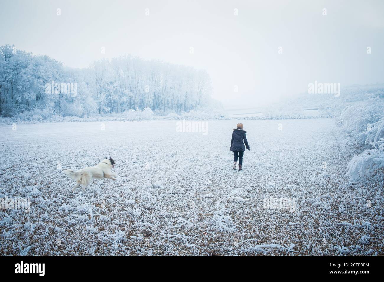 beautiful frozen winter landscape with frosty trees Stock Photo - Alamy