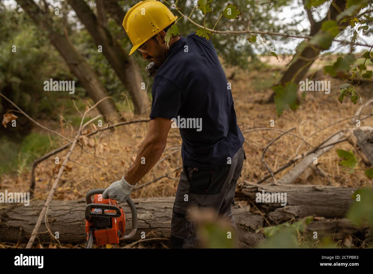 Closeup of a lumberjack with a chainsaw in a forest Stock Photo - Alamy