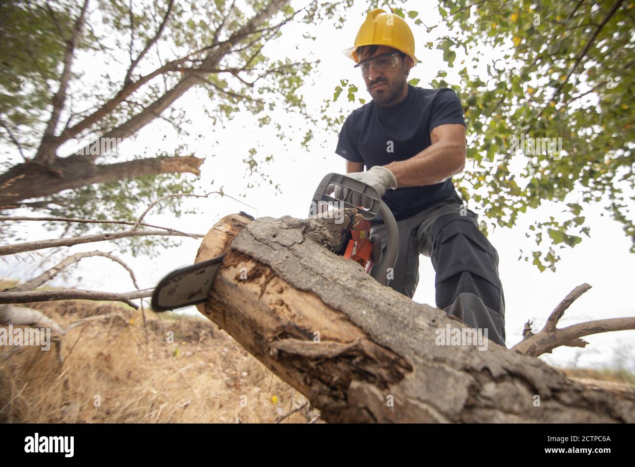 Closeup of a lumberjack with a chainsaw in a forest Stock Photo - Alamy