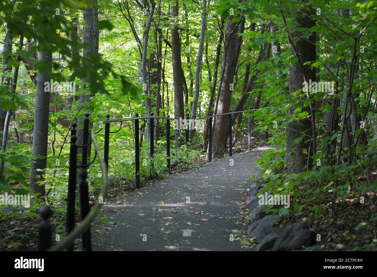 Trail in an arboretum hi-res stock photography and images - Alamy