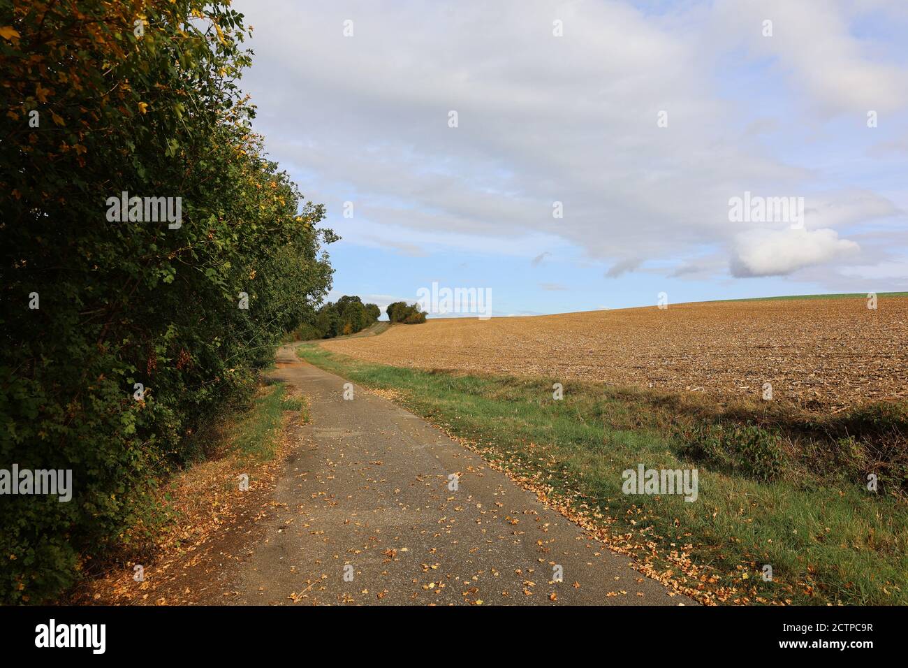 Autumn landscape with cleared fields and cloudy sky Stock Photo - Alamy