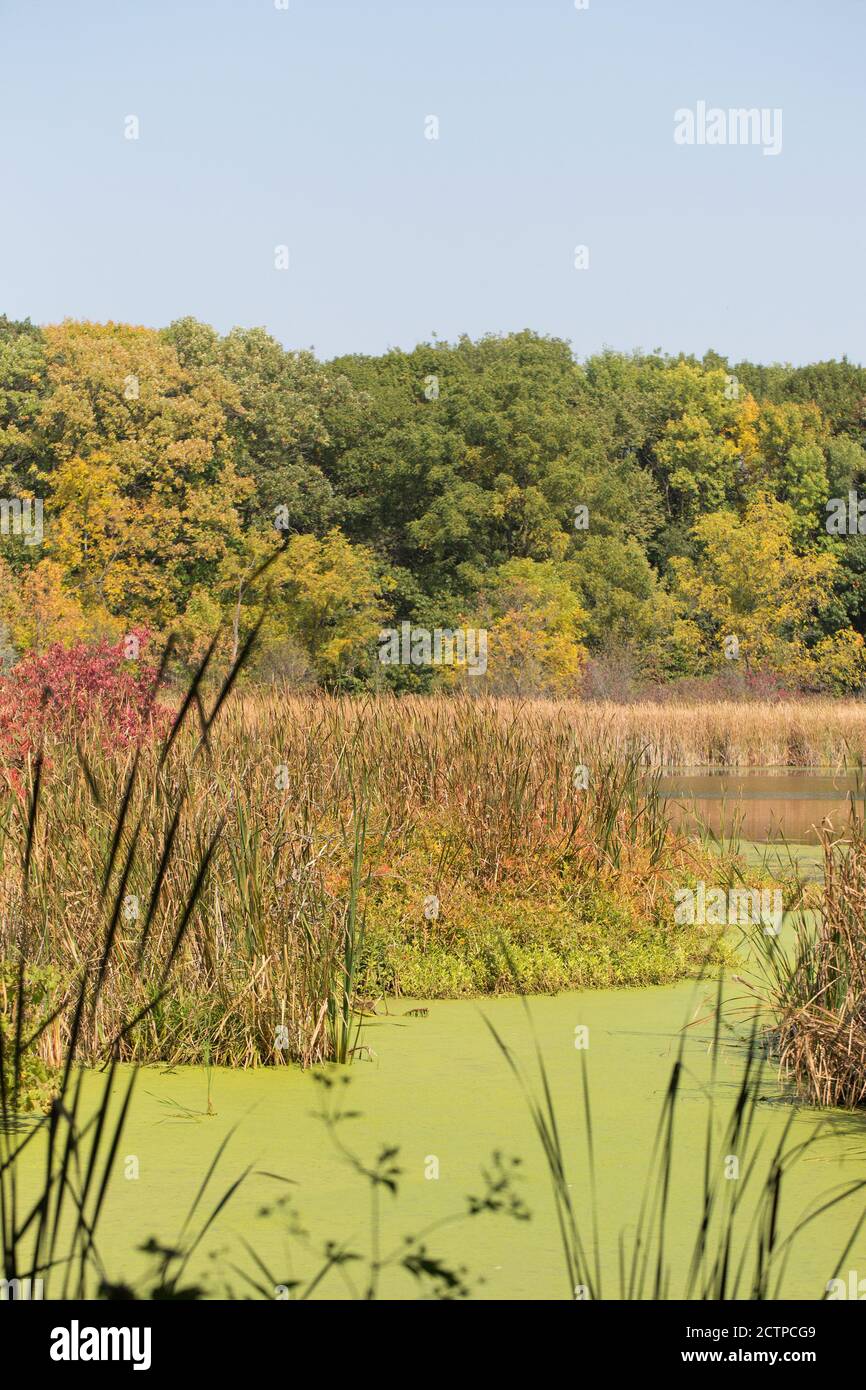 Fall water wetlands seasons hi-res stock photography and images - Alamy