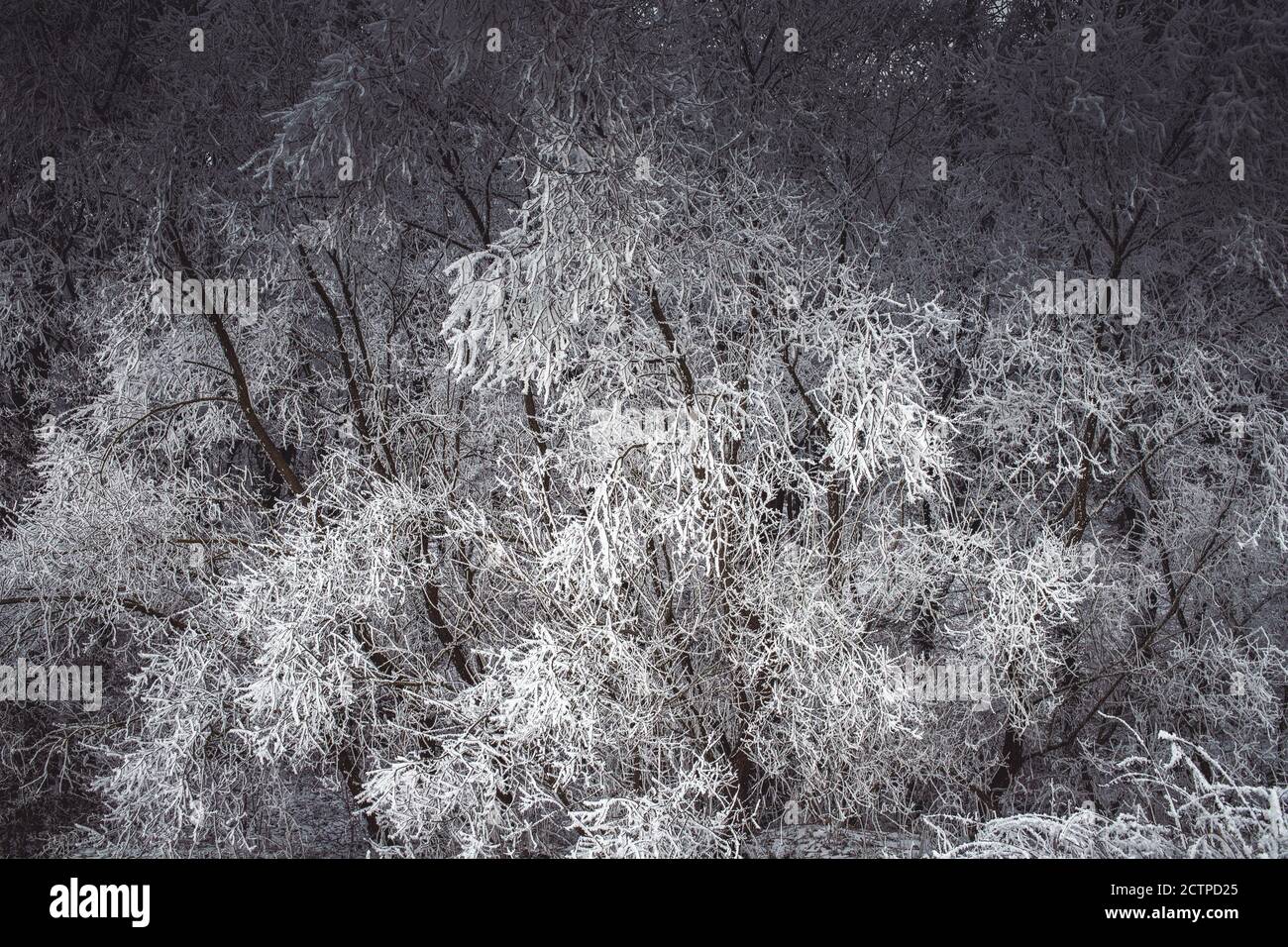 beautiful frozen winter landscape with frosty trees Stock Photo - Alamy