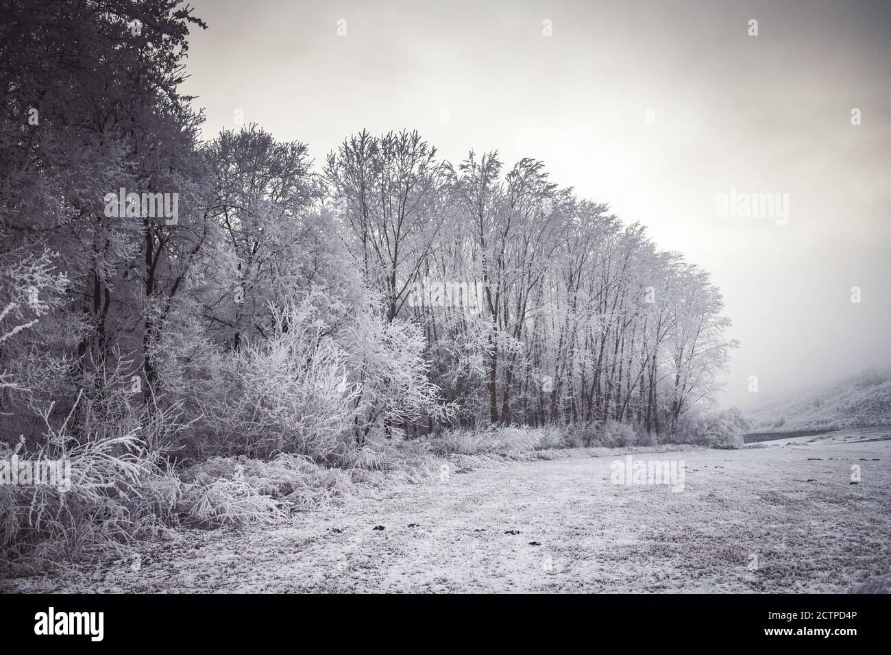 beautiful frozen winter landscape with frosty trees Stock Photo - Alamy
