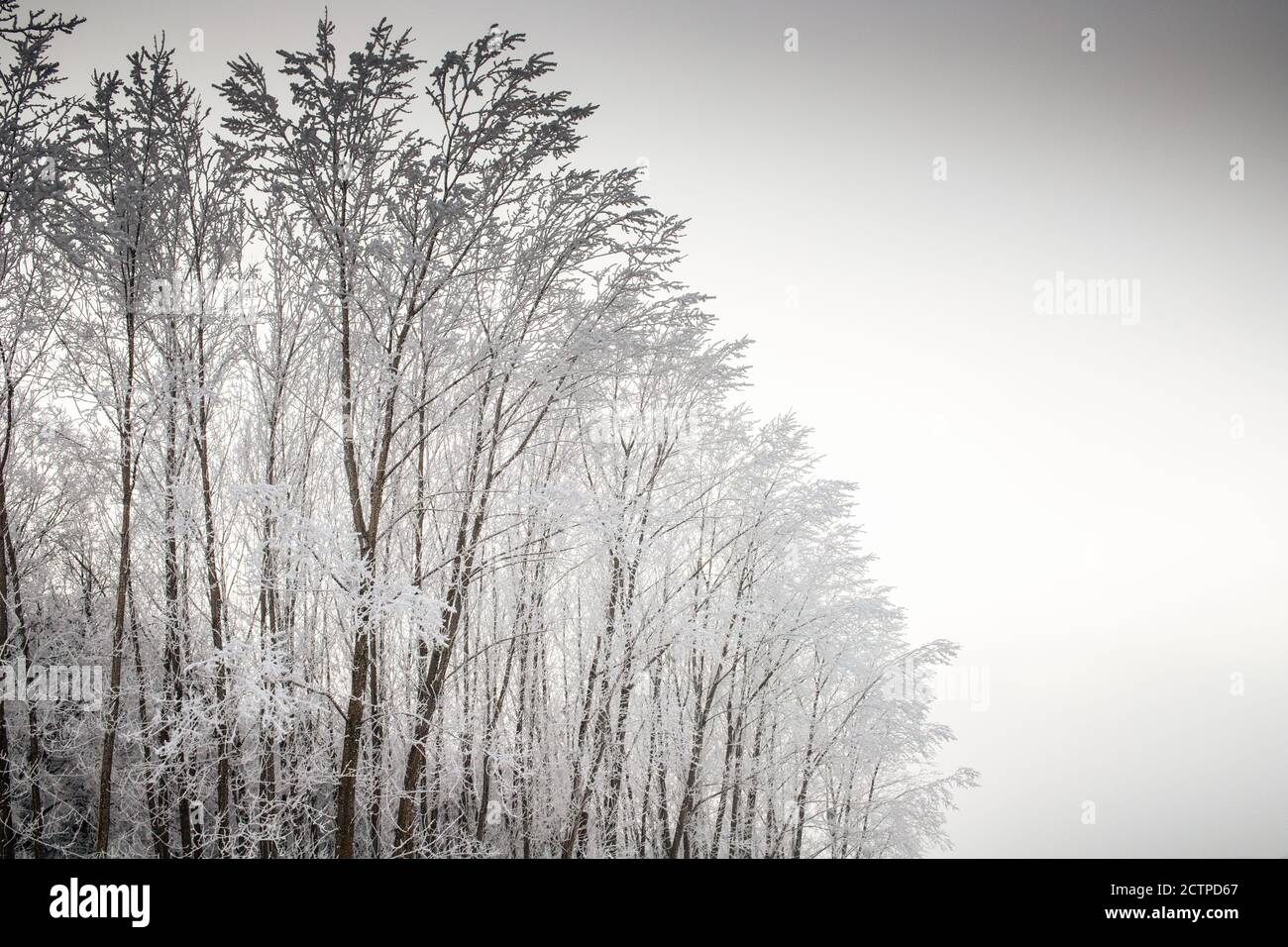 beautiful frozen winter landscape with frosty trees Stock Photo - Alamy
