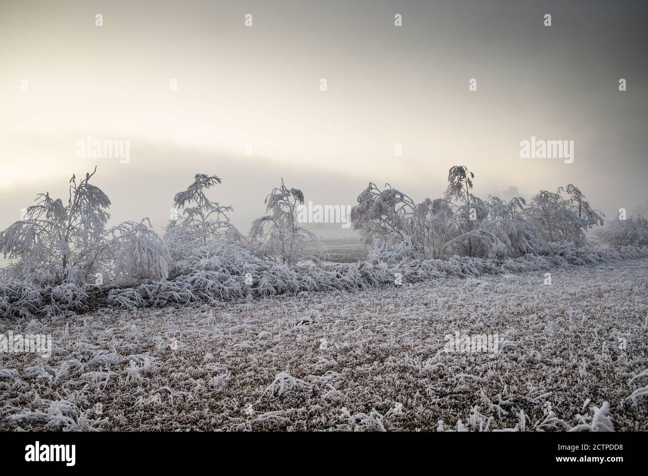 beautiful frozen winter landscape with frosty trees Stock Photo - Alamy