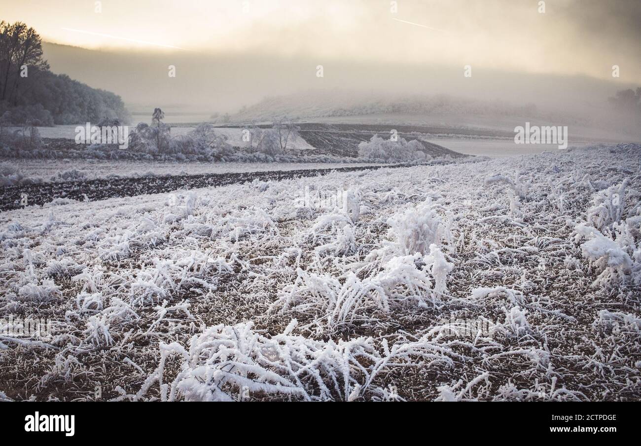 beautiful frozen winter landscape with frosty trees Stock Photo - Alamy