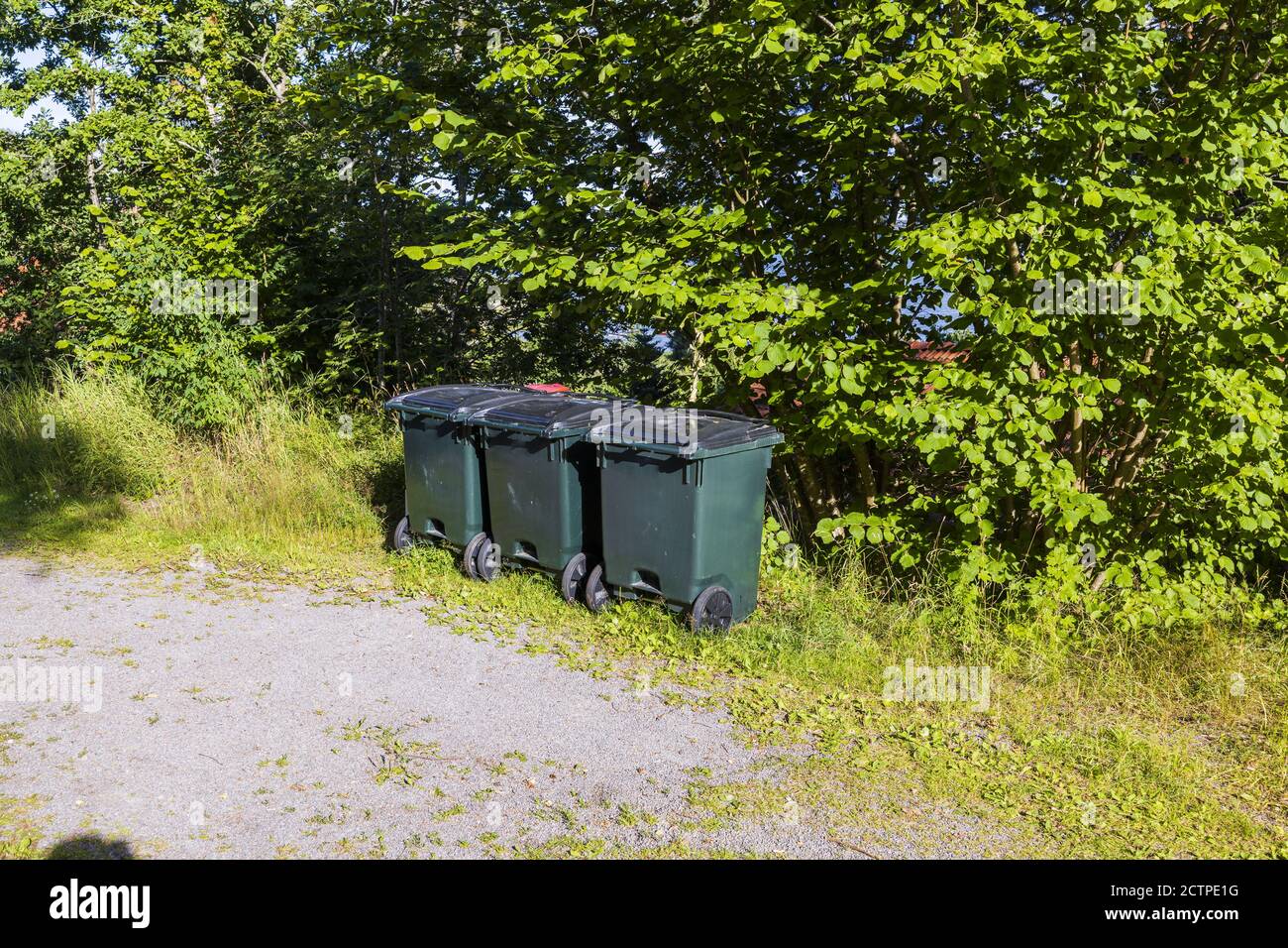 View of typical garbage containers for organic and inorganic garbage ...