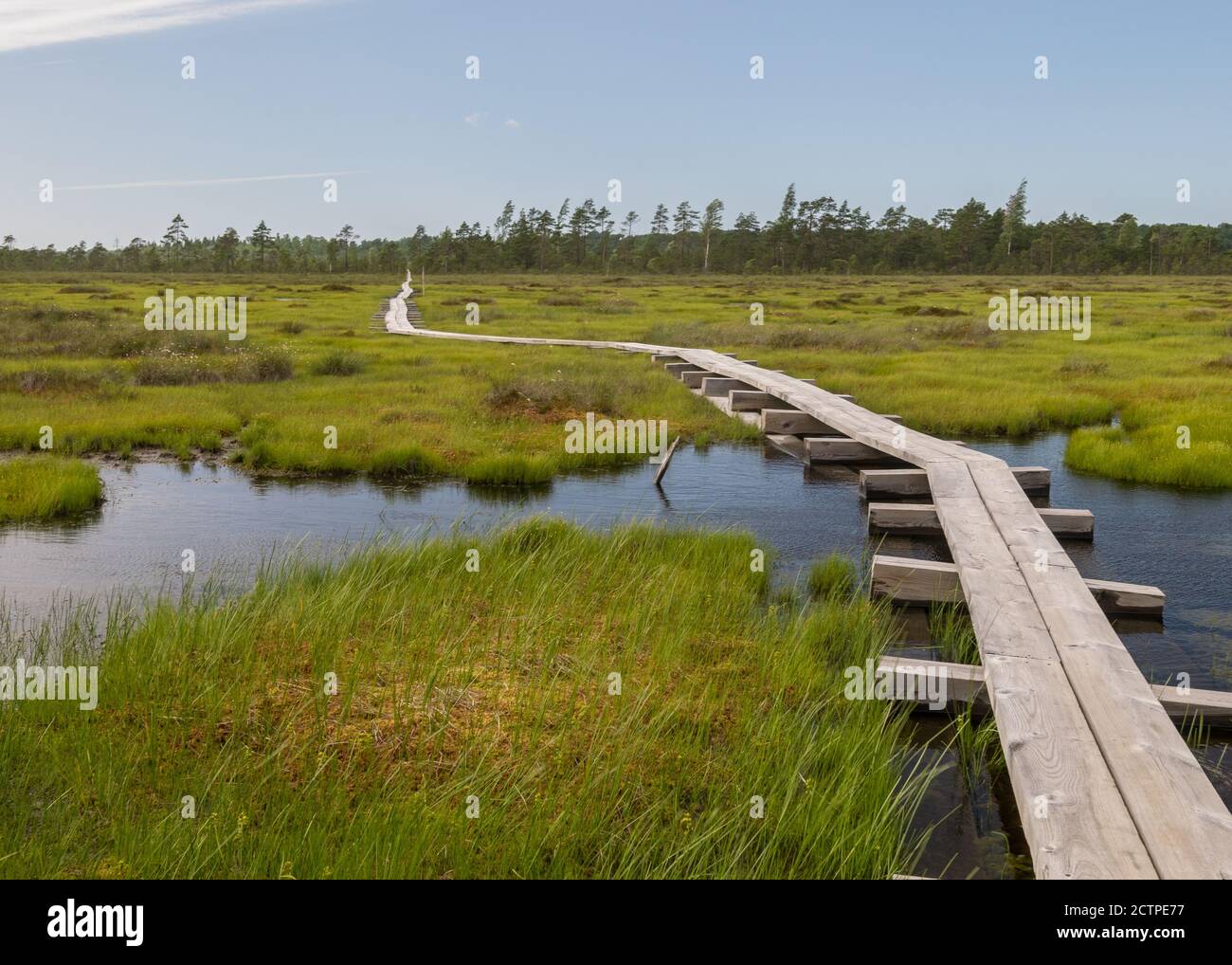 landscape with a pedestrian wooden footbridge over swamp wetlands with ...