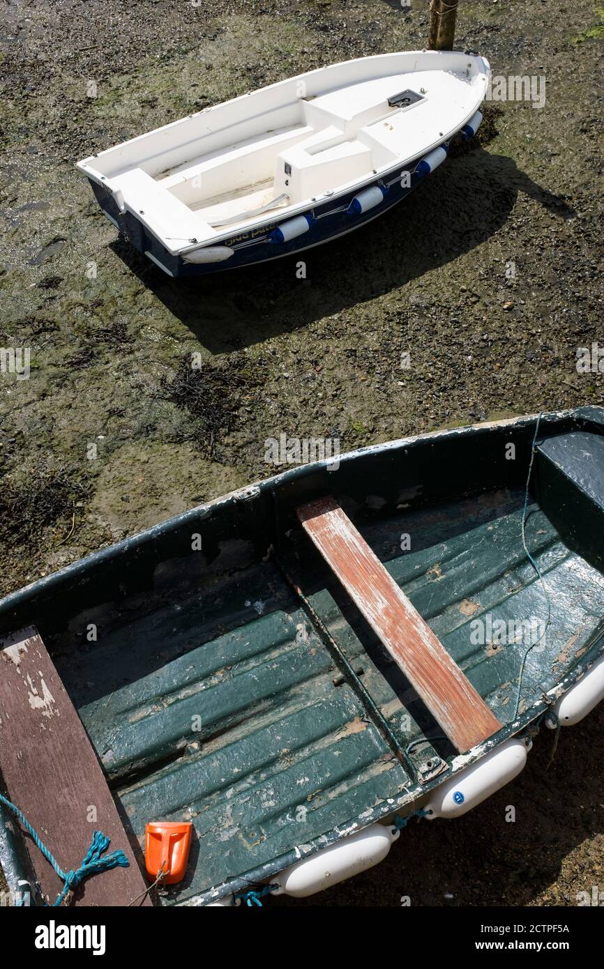 Resting on the sea bed hi-res stock photography and images - Alamy